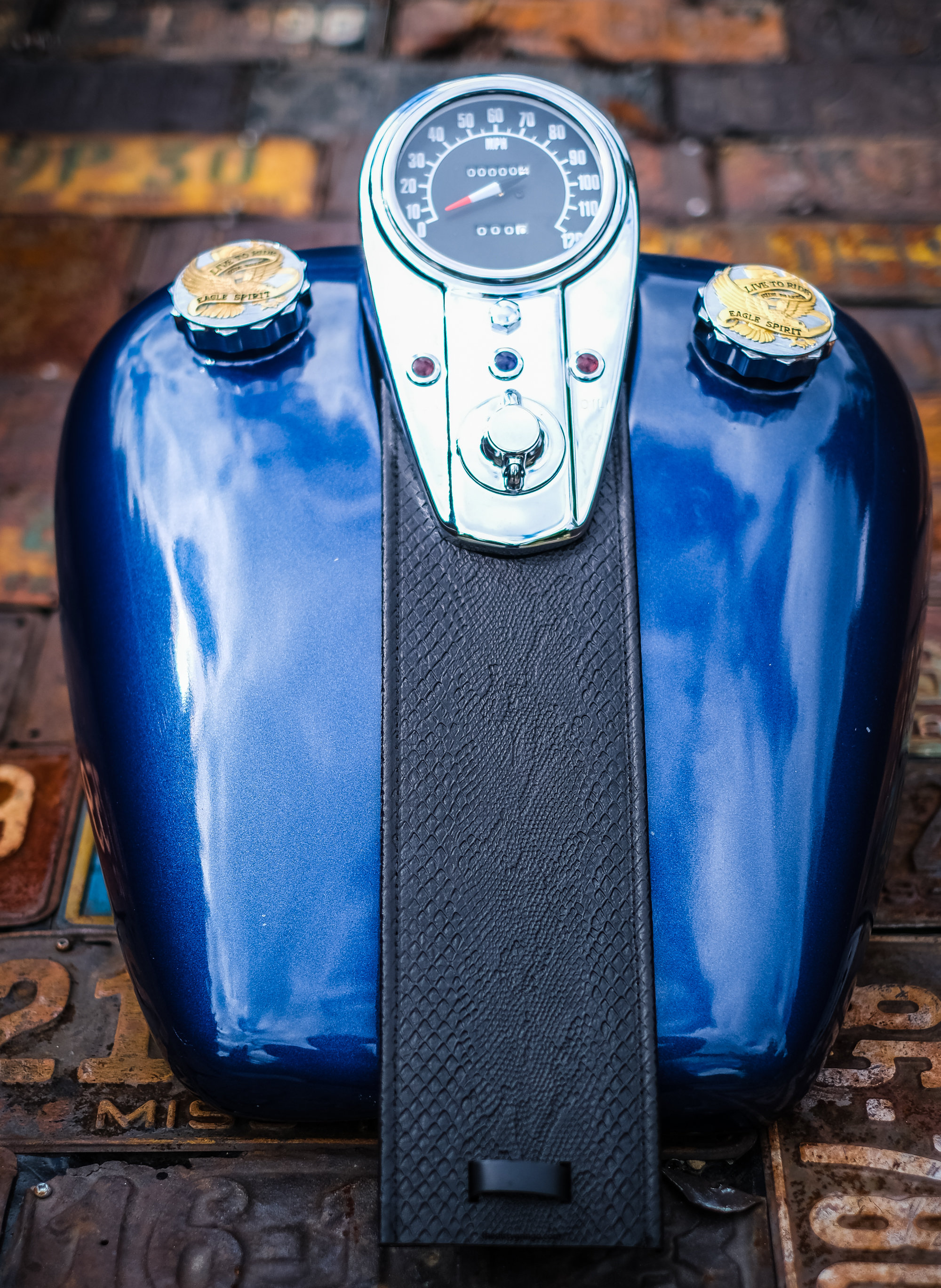 Black Python Leather Gas Tank Panel Bib Harley Davidson Split - Etsy