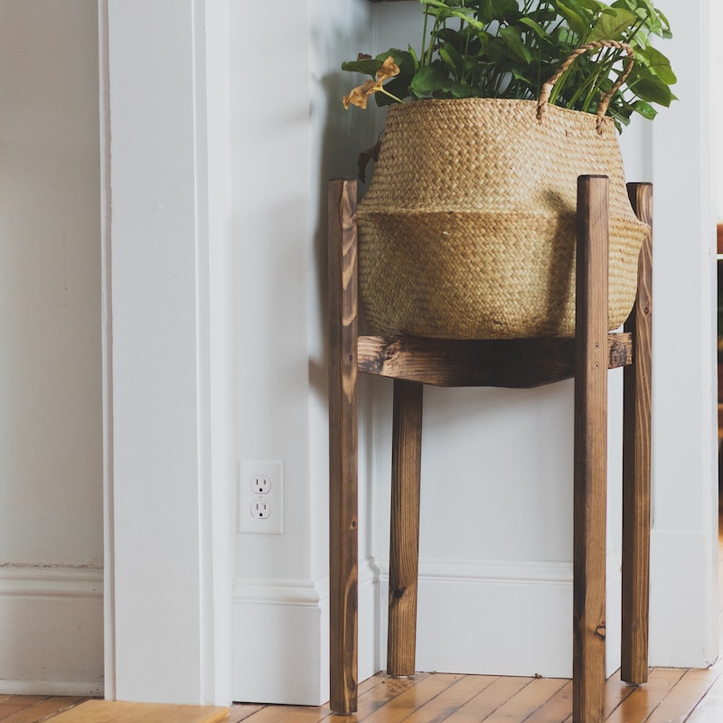Indoor Plant Stand - Etsy New Zealand