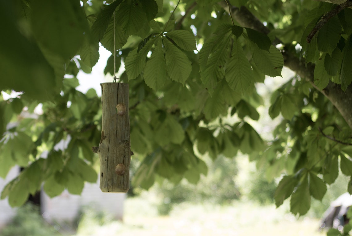 Easy Hanging Suet Bird Feeder - Etsy