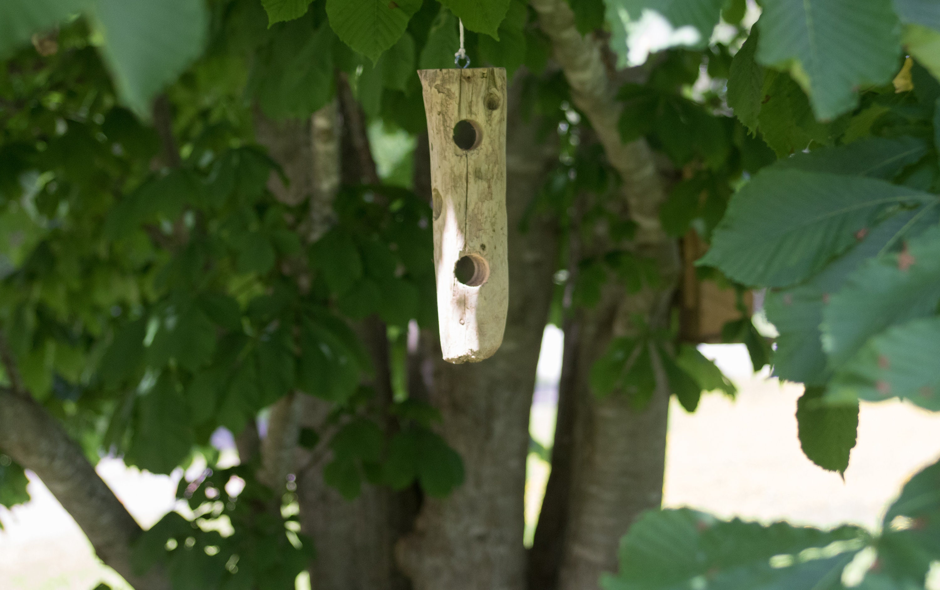 Easy Hanging Suet Bird Feeder - Etsy