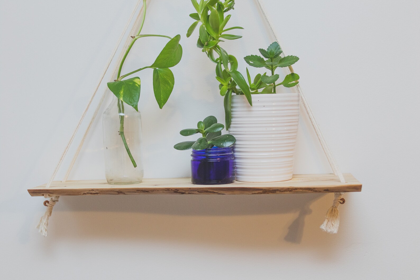 Reclaimed Modern Live Edge Plant Hanger Floating Shelf Made - Etsy