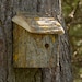 Real Bark Bird Box. Real Tree Bird Box Made From Reclaimed Wood. Eco ...