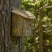 Real Bark Bird Box. Real Tree Bird Box Made From Reclaimed Wood. Eco ...