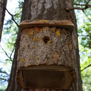 Real Bark Bird Box. Real Tree Bird Box Made From Reclaimed Wood. Eco ...