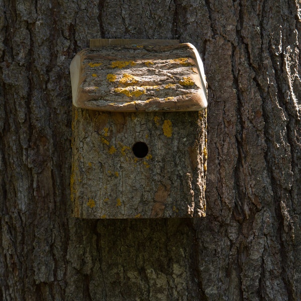 Bird Houses for the Outdoors - Etsy