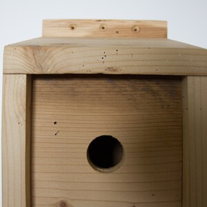 New Style Wren Nesting Box. Eco Friendly, Reclaimed Wood, Bird Box ...