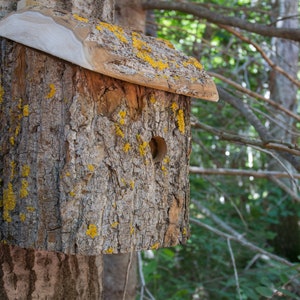 Real Bark Bird Box. Real Tree Bird Box Made From Reclaimed Wood. Eco ...