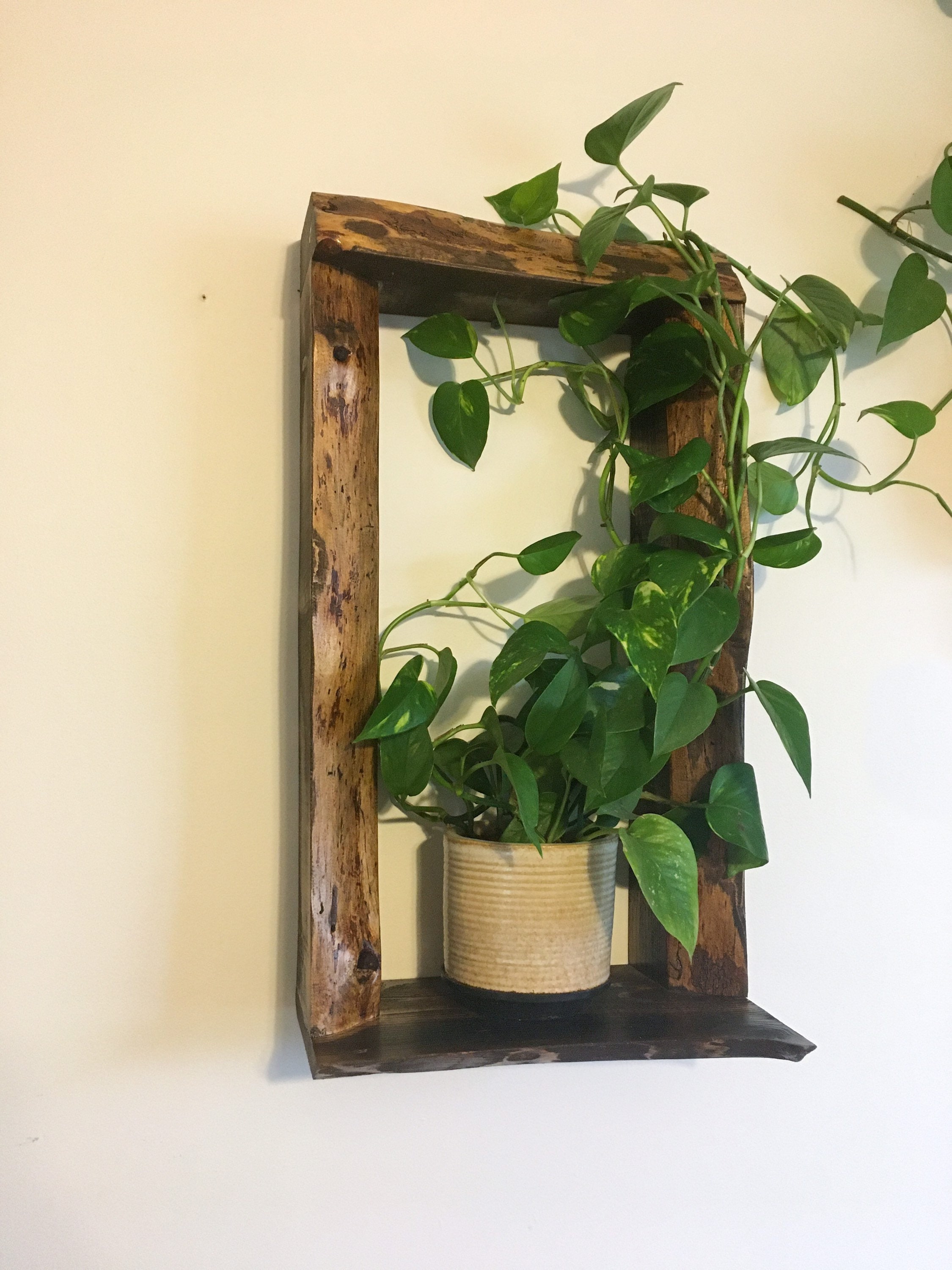 Live Edge OOAK Wooden Shadow Box. Home Altar. - Etsy Canada