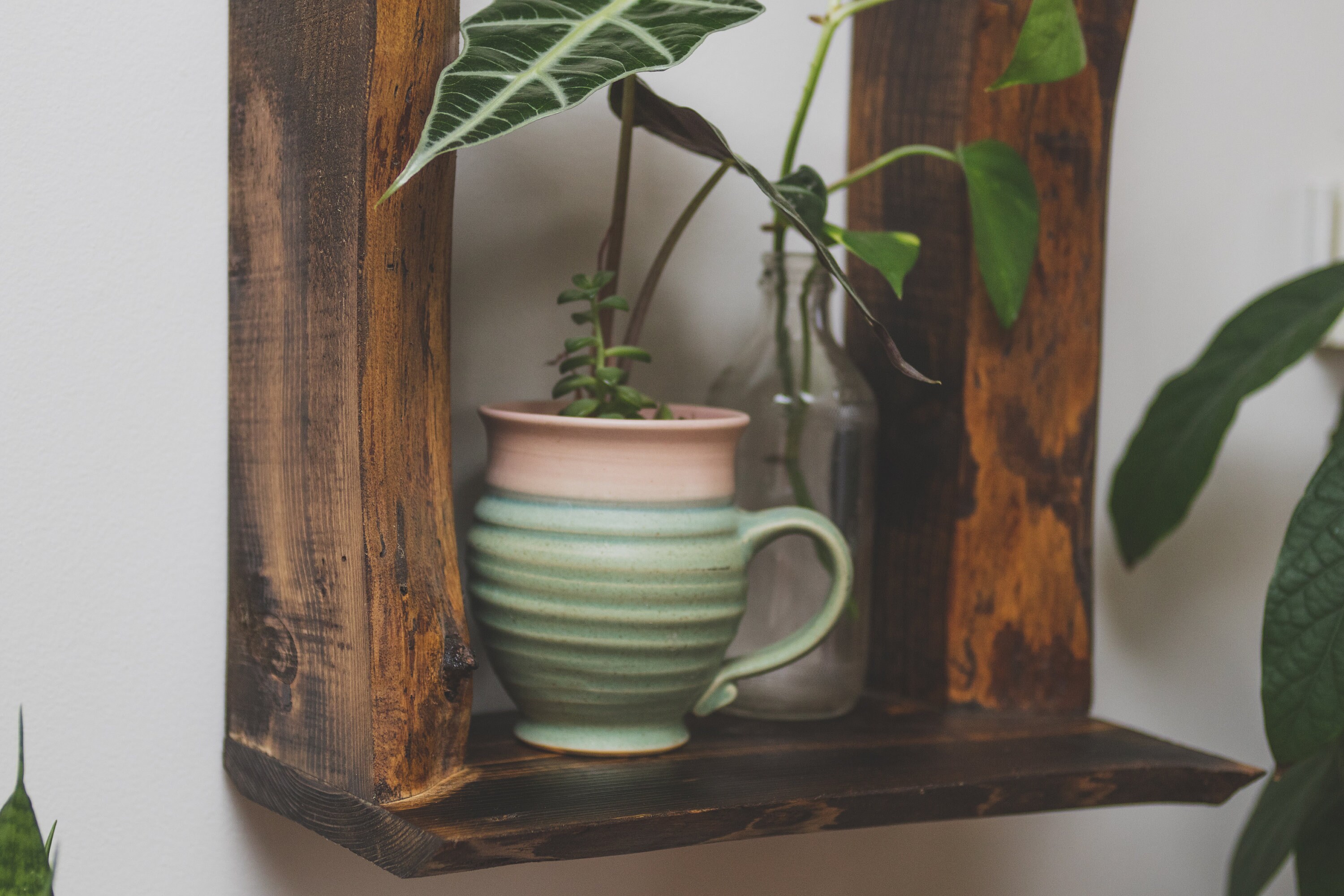 Live Edge OOAK Wooden Shadow Box. Home Altar. - Etsy Canada