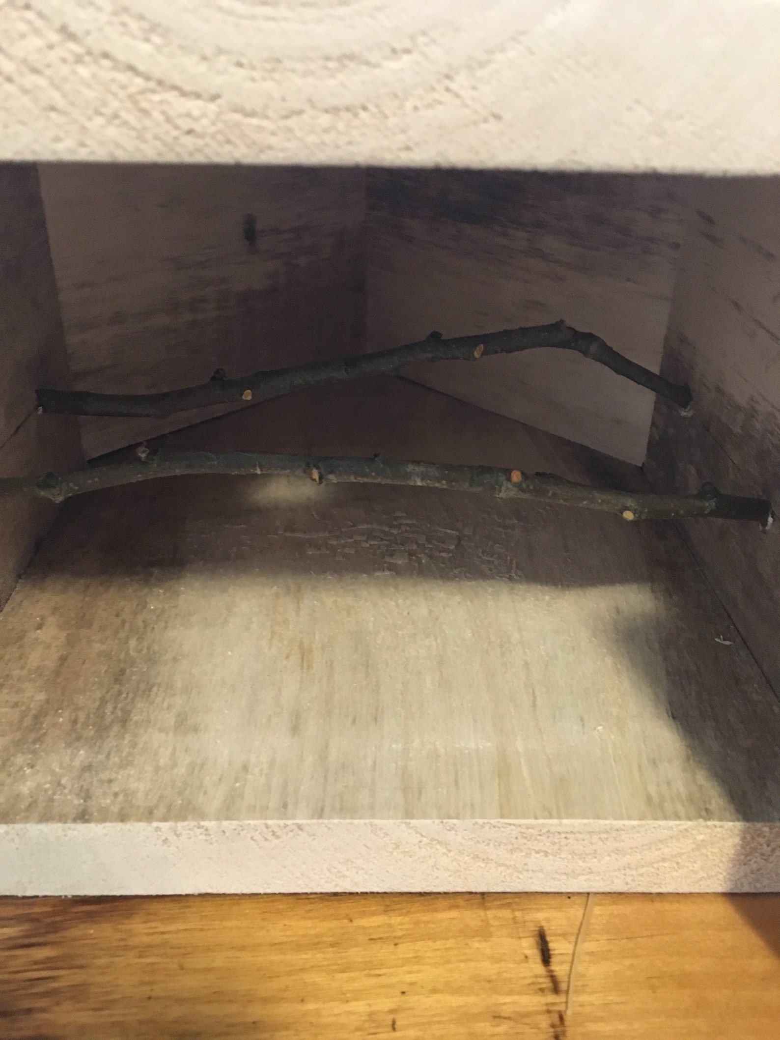 Winter Roosting Box. Reclaimed Wooden Conservation Bird Box. - Etsy