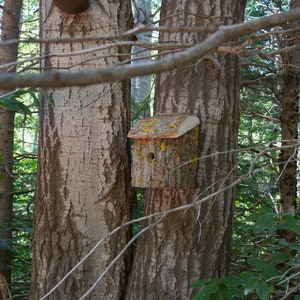 Real Bark Bird Box. Real Tree Bird Box Made From Reclaimed Wood. Eco ...
