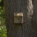 Real Bark Bird Box. Real Tree Bird Box Made From Reclaimed - Etsy