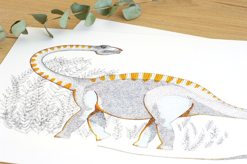 Dinosaur Diplodocus Poster Large and Medium Format Extinct Animal ...
