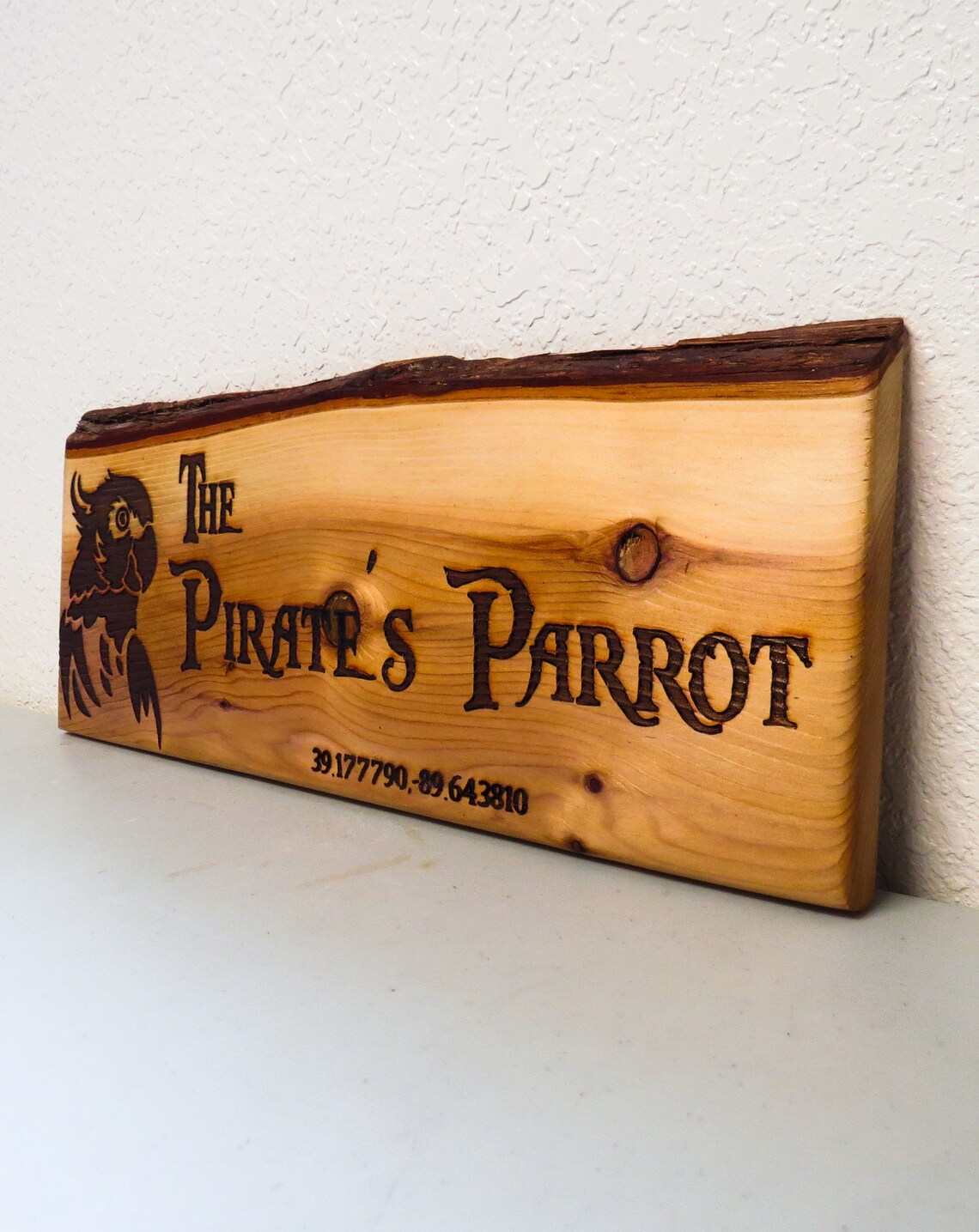 Personalized Parrot Sign Latitude Longitude Sign Parrot Lover - Etsy