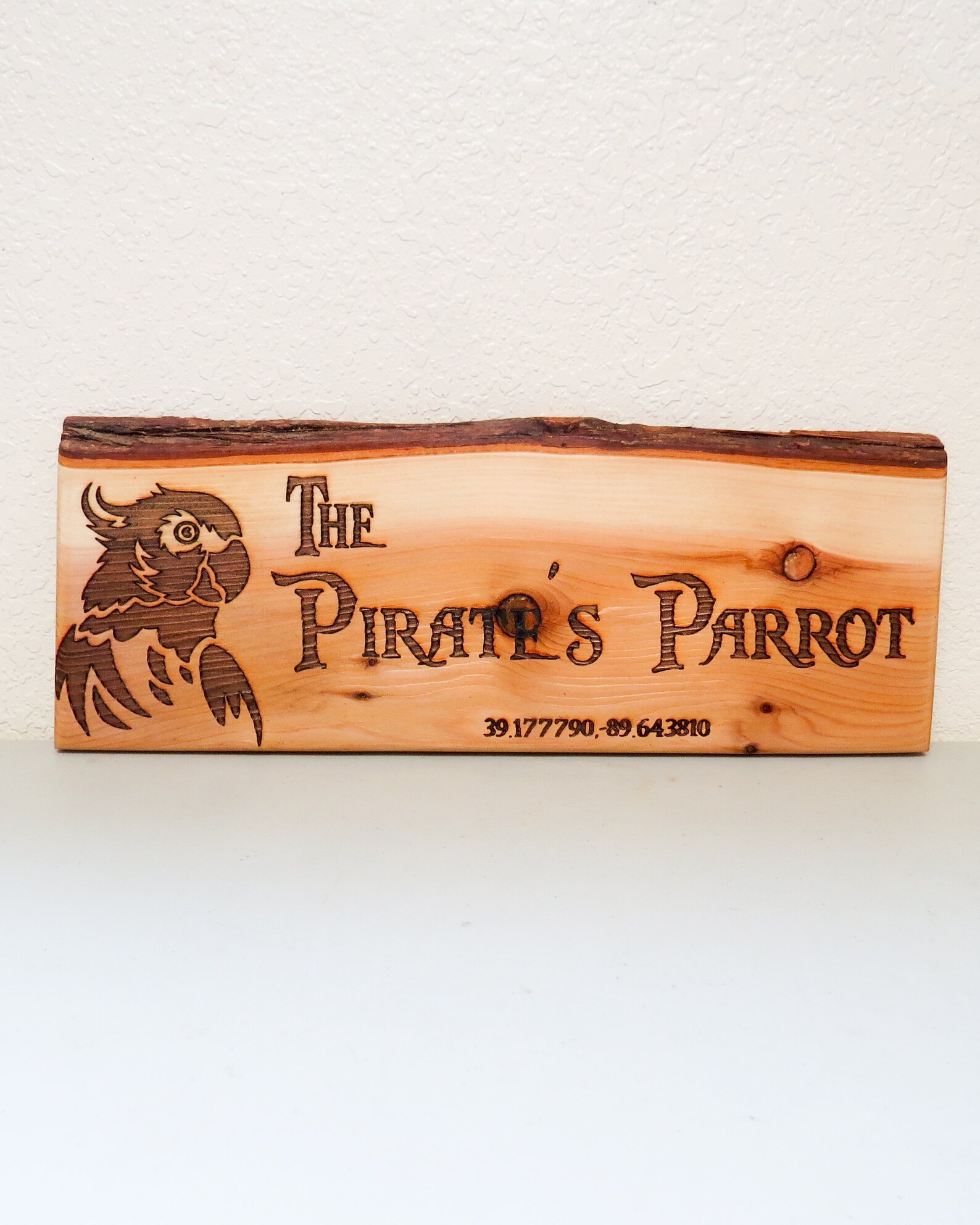 Personalized Parrot Sign Latitude Longitude Sign Parrot Lover - Etsy