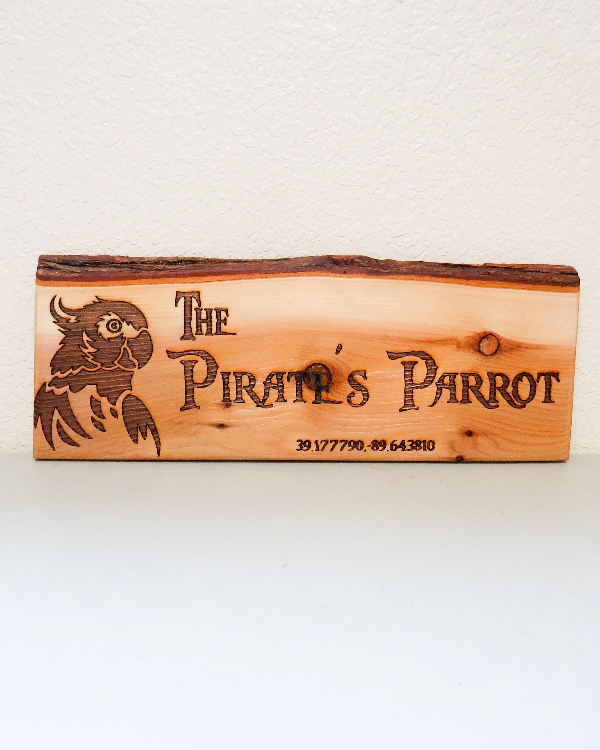 Personalized Parrot Sign Latitude Longitude Sign Parrot Lover - Etsy