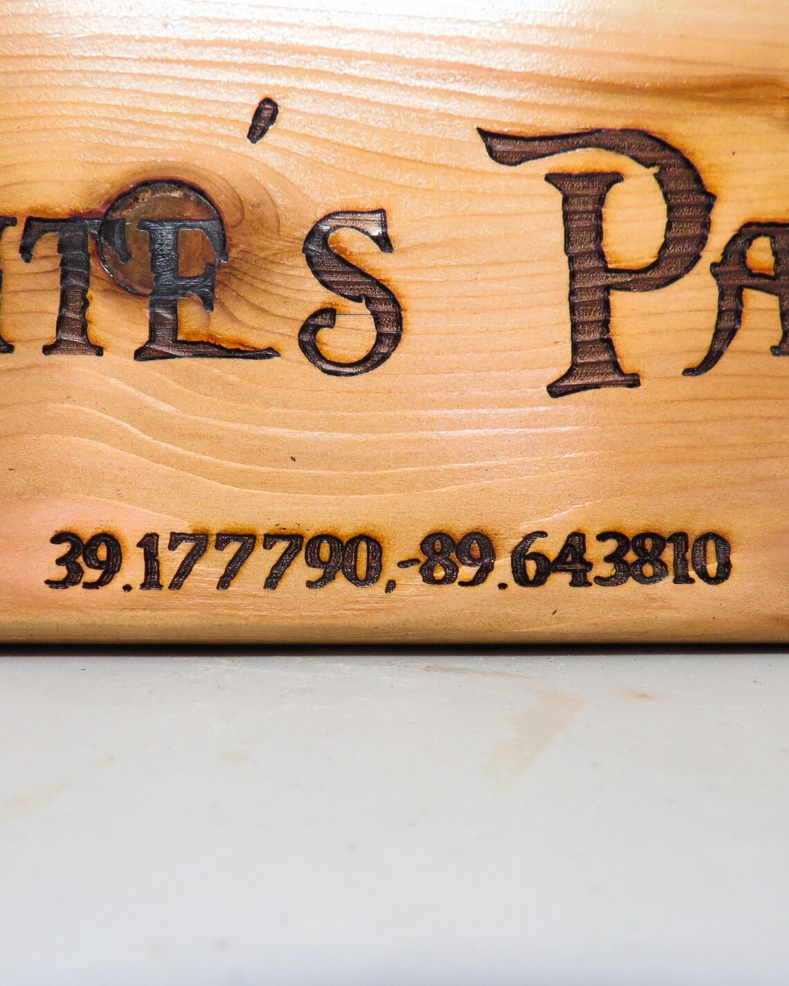 Personalized Parrot Sign Latitude Longitude Sign Parrot Lover - Etsy
