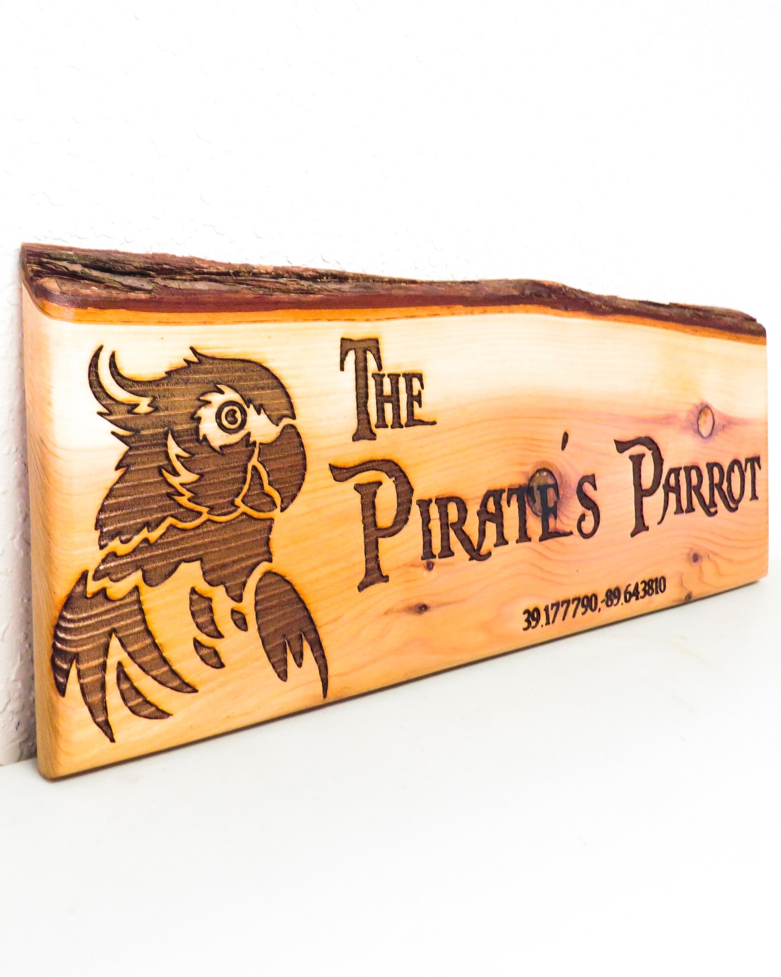 Personalized Parrot Sign Latitude Longitude Sign Parrot Lover - Etsy