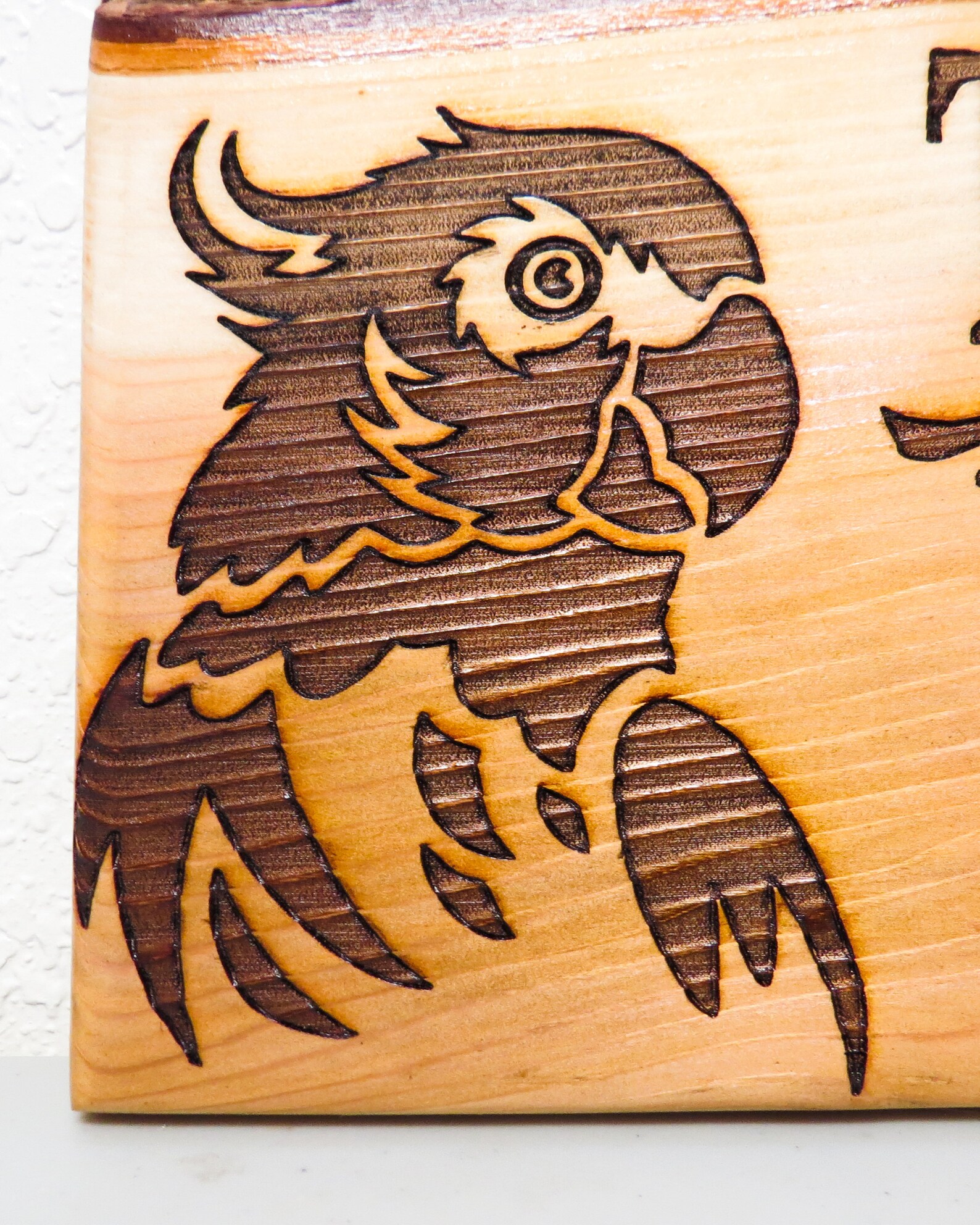 Personalized Parrot Sign Latitude Longitude Sign Parrot Lover - Etsy