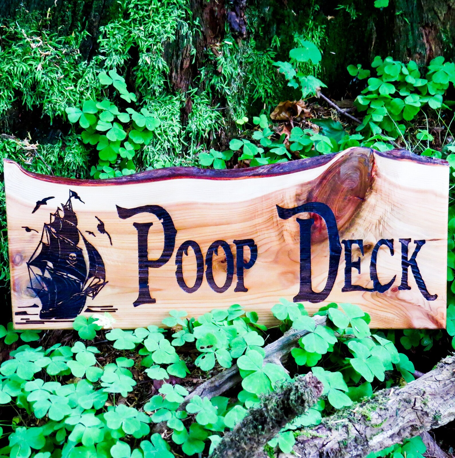 Pirate Poop Deck Sign - Etsy