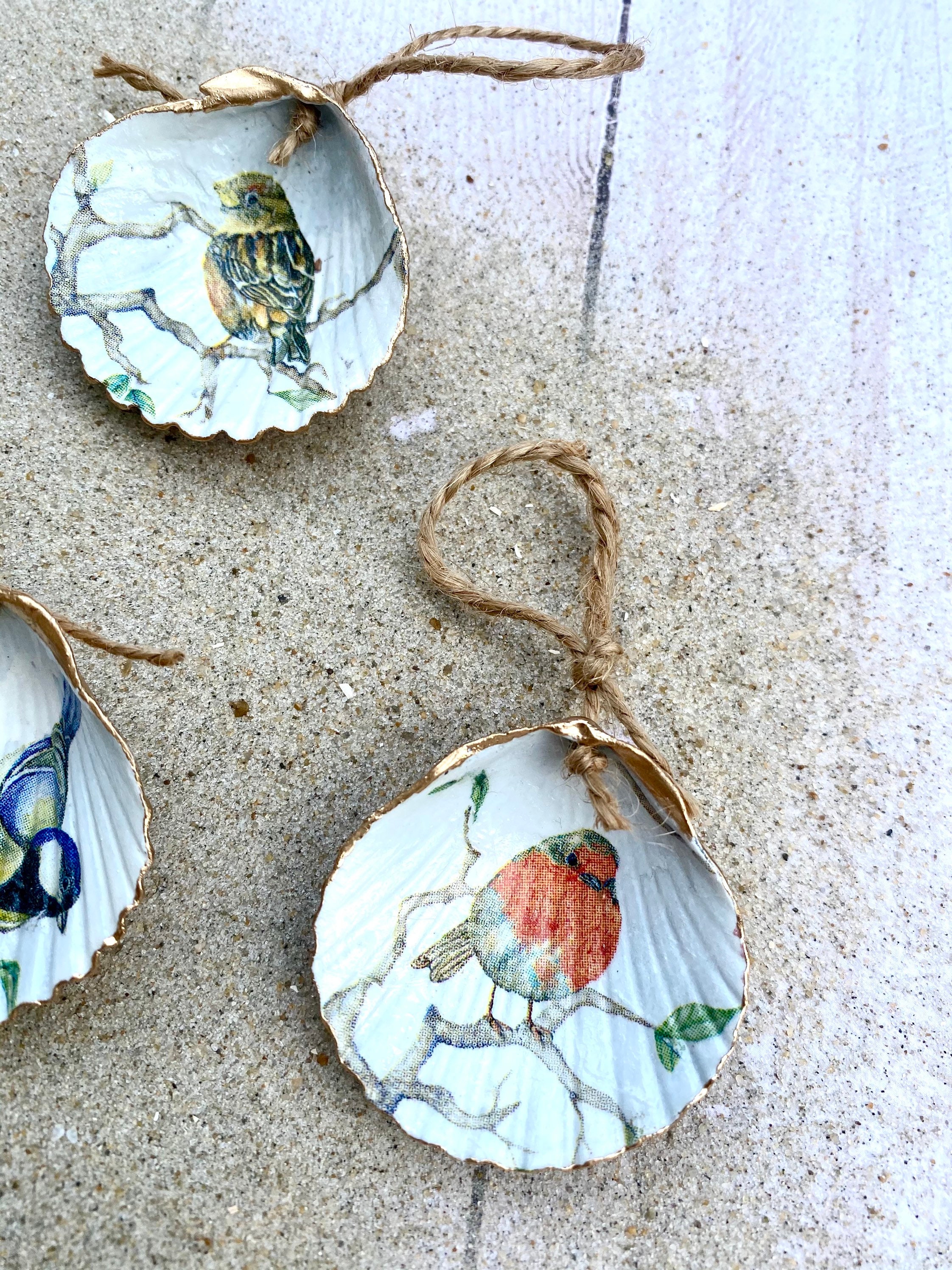 Real Seashell Christmas Tree Ornaments, Choice of Scallop Shell or Clam ...