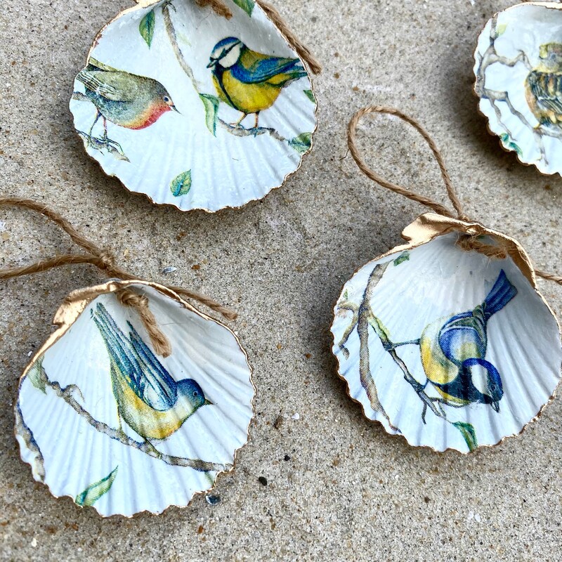 Real Seashells - Etsy