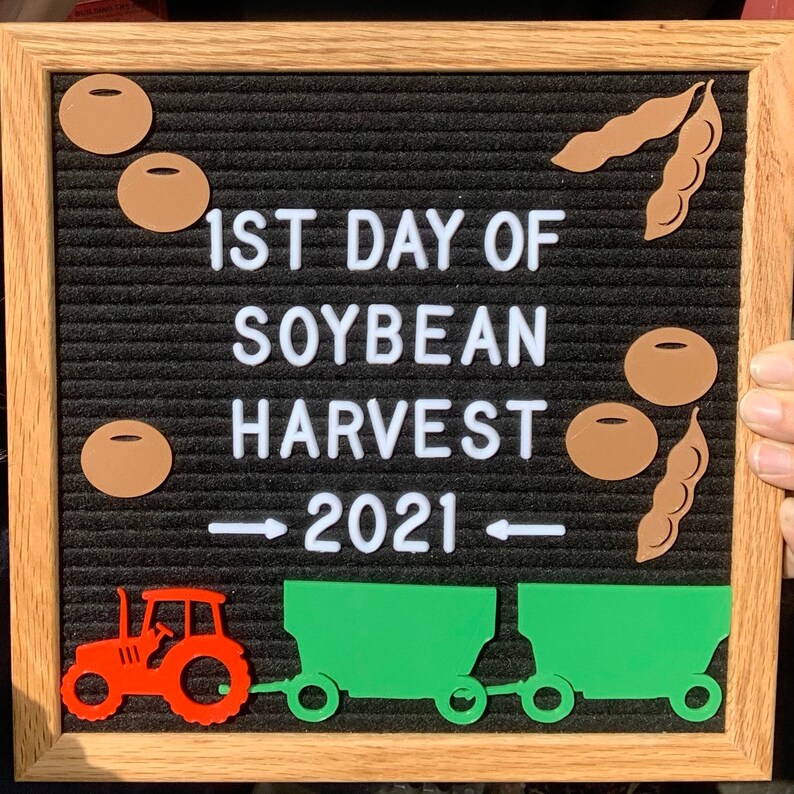 Soybean Pod Icons for Felt Letter Board Two Soybean Pod - Etsy