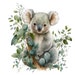 Watercolor Koala Sublimation PNG, Koala Digital Clipart, Koala ...