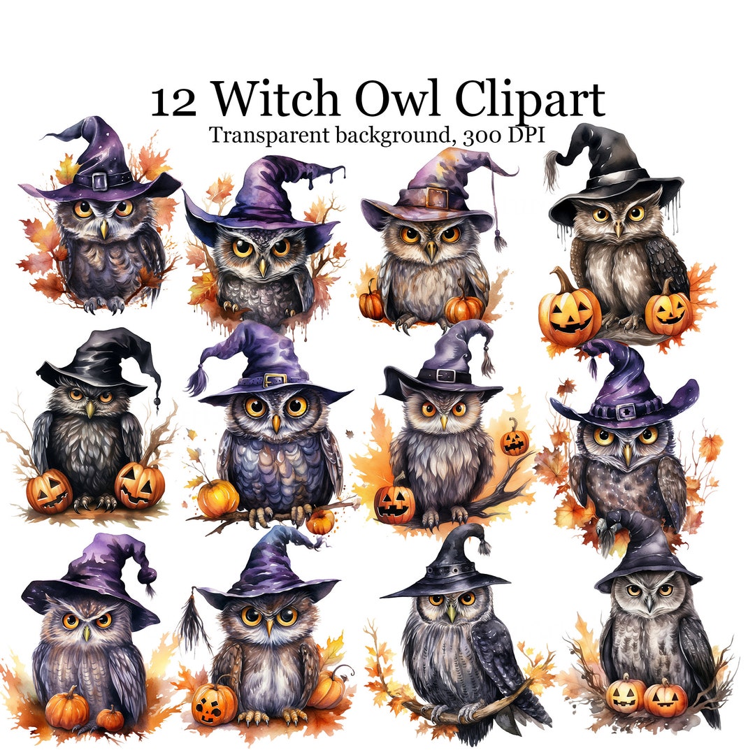 12 Watercolor Witch Owl Sublimation PNG, Halloween Owl Digital Clipart ...