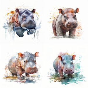 Watercolor Baby Hippo PNG, Safari Animal Digital Clipart, Baby Hippo ...