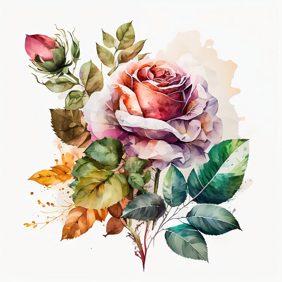 Watercolor Rose Digital Clipart, Rose Sublimation PNG, Giant Rose Wall ...