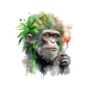 Watercolor Weed Monkey PNG, Marijuana Monkey Digital Clipart, Cannabis ...