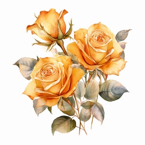 Watercolor Yellow Roses Sublimation PNG, Yellow Roses Digital Clipart ...