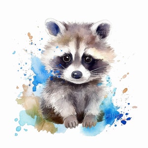 Watercolor Baby Racoon Digital Clipart, Raccoon Printable Nursery Room ...
