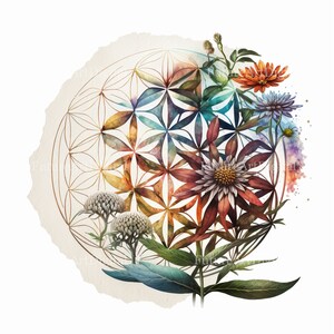 Watercolor Flower of Life Digital Clipart, Flower of Life Sublimation ...