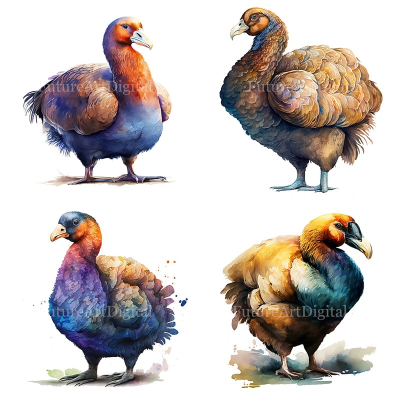 Dodo Paintings - Etsy