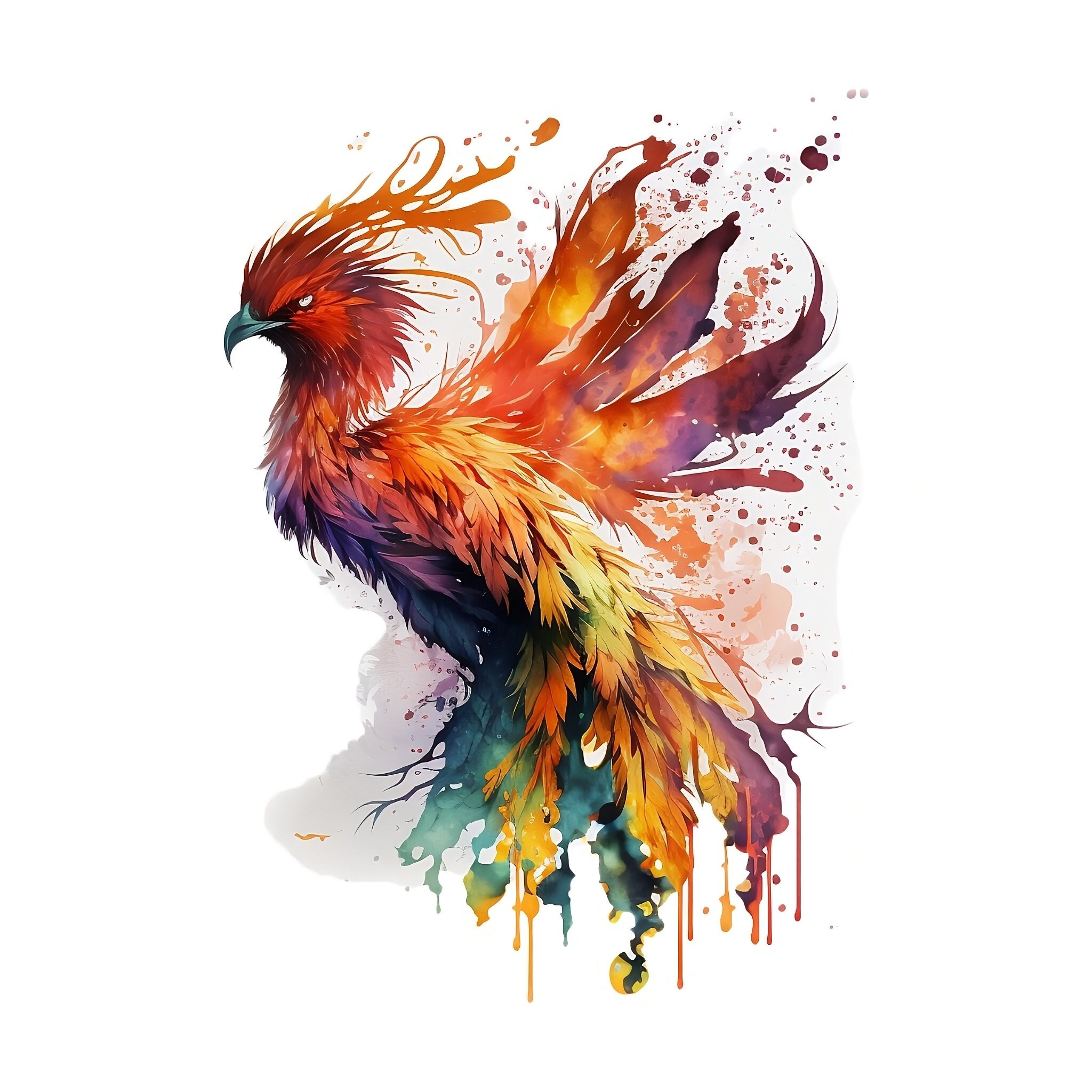 Watercolor Phoenix Digital Clipart Phoenix Sublimation PNG - Etsy