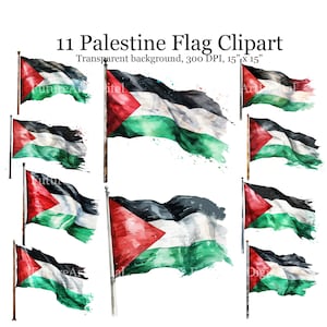 11 Watercolor Palestine Flag Digital Clipart, Palestine Flag ...