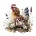 Watercolor Chickens Digital Clipart, Chicken Family Printable Wall Art ...