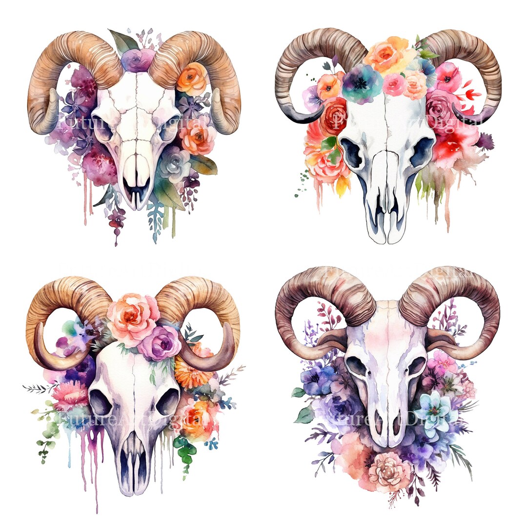 Watercolor Ram Skull With Flowers Sublimation PNG, Ram Skull Digital ...