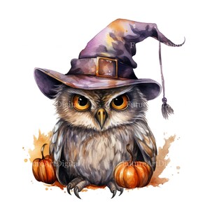12 Watercolor Witch Owl Sublimation PNG, Halloween Owl Digital Clipart ...