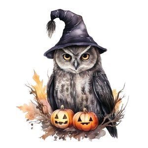 12 Watercolor Witch Owl Sublimation PNG, Halloween Owl Digital Clipart ...