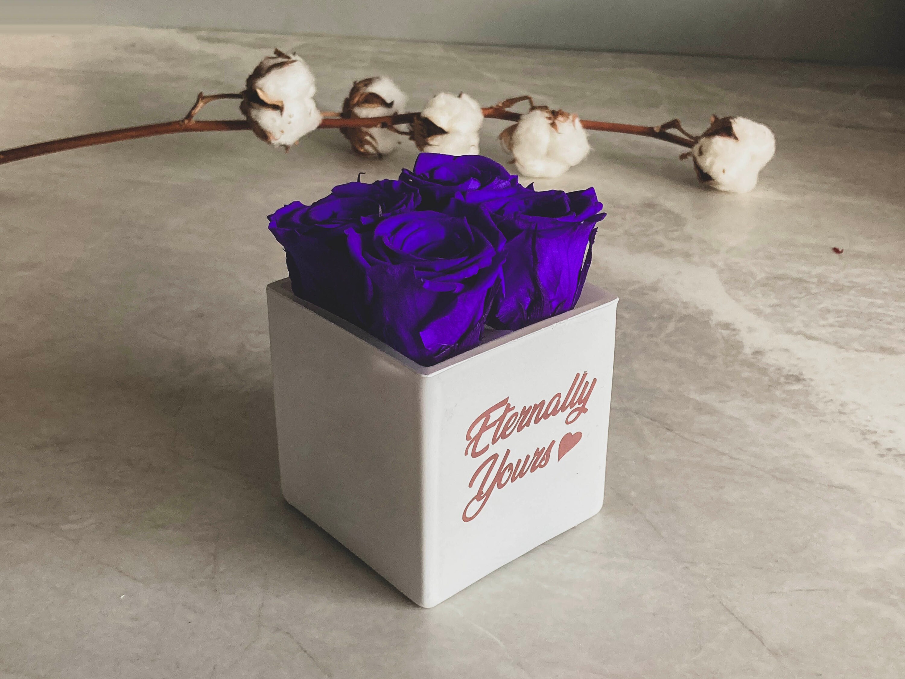 Infinity Rose Box Rosas eternas púrpuras en una caja de | Etsy