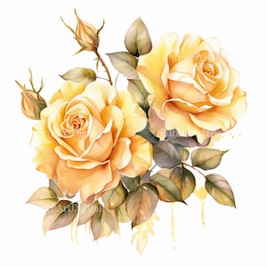 Watercolor Yellow Roses Sublimation PNG, Yellow Roses Digital Clipart ...