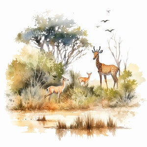 Watercolor Savannah Wildlife Digital Clipart, Safari Animals ...