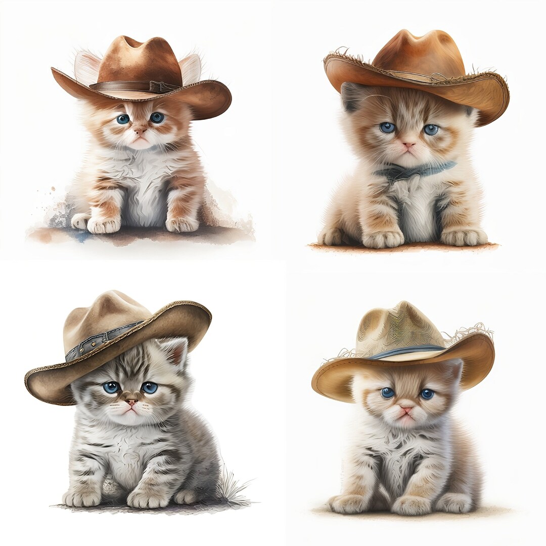 Watercolor Grumpy Cat PNG, Grumpy Kitten in a Hat Digital Clipart ...
