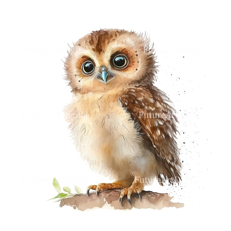 Watercolor Baby Owl Digital Clipart Baby Owl Printable Wall - Etsy