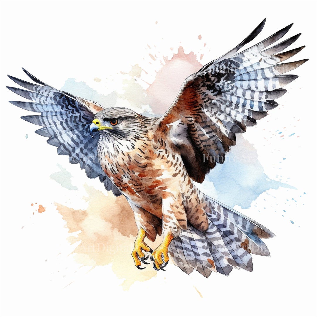 Watercolor Falcon Sublimation PNG, Falcon Digital Clipart, Falcon ...