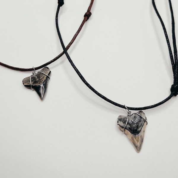Shop Shark Tooth Necklace - Etsy