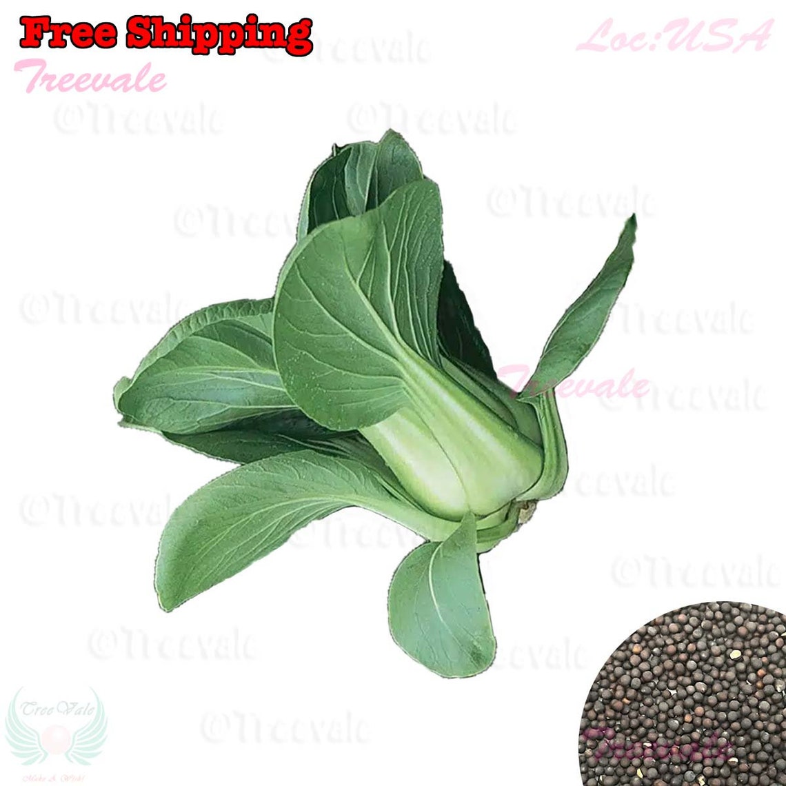 Pak Choi Green Stem, Shanghai Pak Choi, Bok Choy SEEDS | Cabbage SEEDS ...
